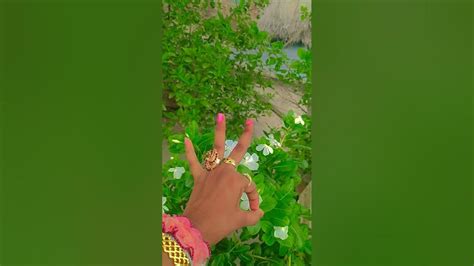 ছোট্ট ছোট্ট ছোট্ট জামা 👗বেশছিল Video Viralvideo Viralhandvideo Viralreels Viralsong Youtube