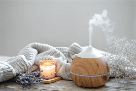 Diffuser Vs Humidifier Which One Is Right For You