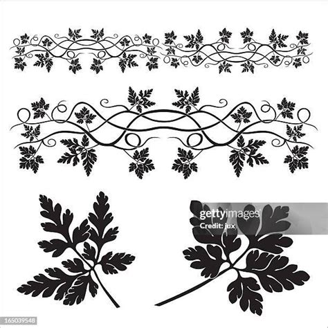 Vine Scrolls Photos And Premium High Res Pictures Getty Images