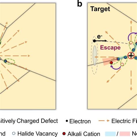 Carrier Capture Event By Charged Defects A B Schematic Diagram Of The Download Scientific