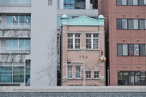 오사카 기타하마 독특한 카페투어 직접 고른 Best4 카페