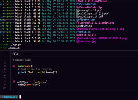 Software Aesthetic