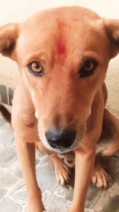 நெத்தில பொட்டு மட்டும் அம்சமா இருக்குடா😊🥰 Youtube