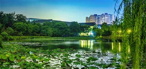 成都工业学院－2025年招生计划 大学志