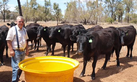 Andrew And David Raff Agsolutions