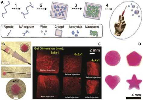 Figure 1 From In Situ Forming Injectable Hydrogels For Drug Delivery