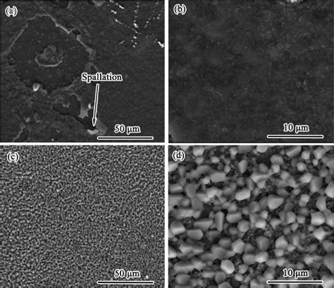 Morphology After Oxidation A And B Ni Based Single Crystal Download Scientific Diagram