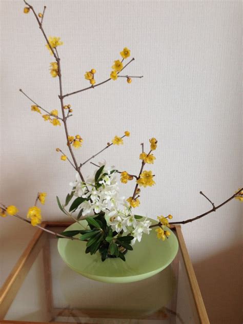 我流生け花 お正月に蝋梅とラン 花を生ける フラワーアレンジメント 生け花