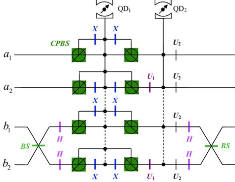 color online schematic diagram of our spatialpolarization