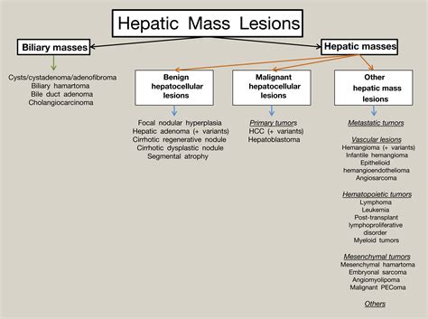 Hepatic Mass Lesions Challenges And Pitfalls Diagnostic Histopathology