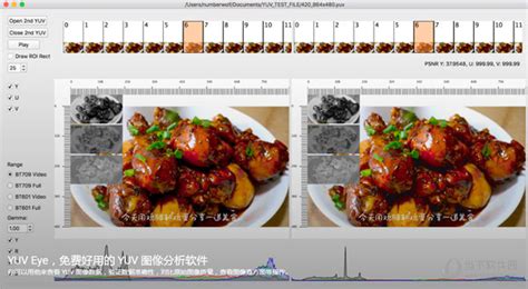 Yuv Eyeyuv图像分析查看器 V211 官方版下载当下软件园