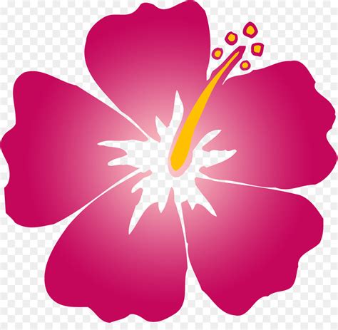 Hawaiian Flower Clip Art Hibiscus Cartoon Png Download 594596