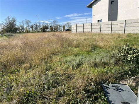 Vând Teren Intravilan Valu Lui Traian Zona F Valu Lui Traian • Olxro