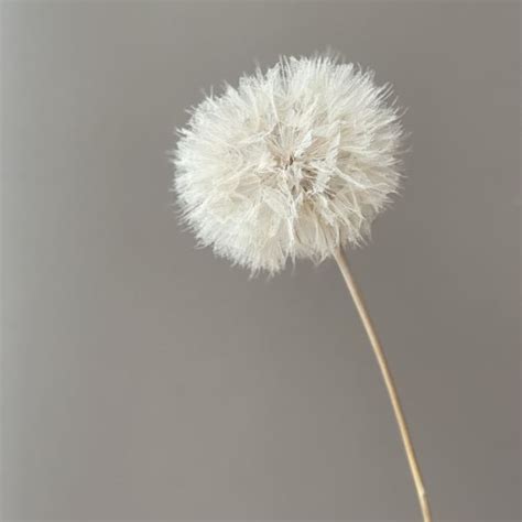 Zijden Bloemen Kopen Tof Boeket Tof Boeket