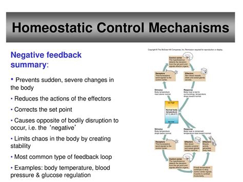 Chapter 1 Lecture Powerpoint Ppt Download