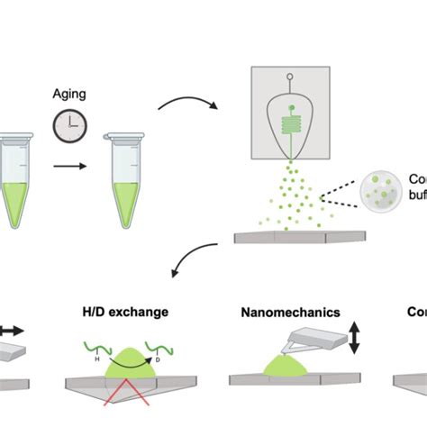 Comparison Of Surface Deposition Methods For The Characterisation Of Download Scientific