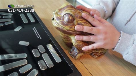 수맥 차단 생기 두꺼비 Youtube