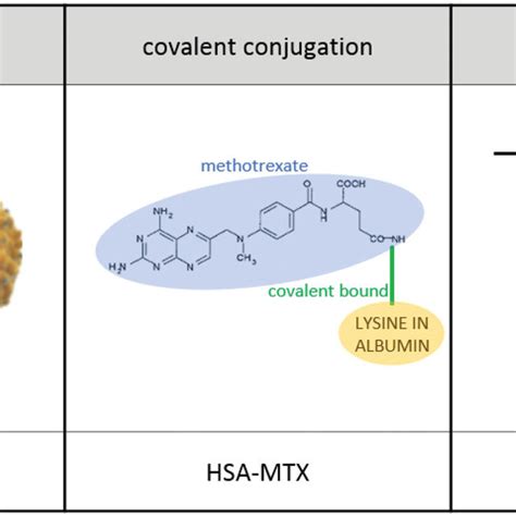 Albumin Binding Strategies An Example Of An Ip Delivered Drug Per