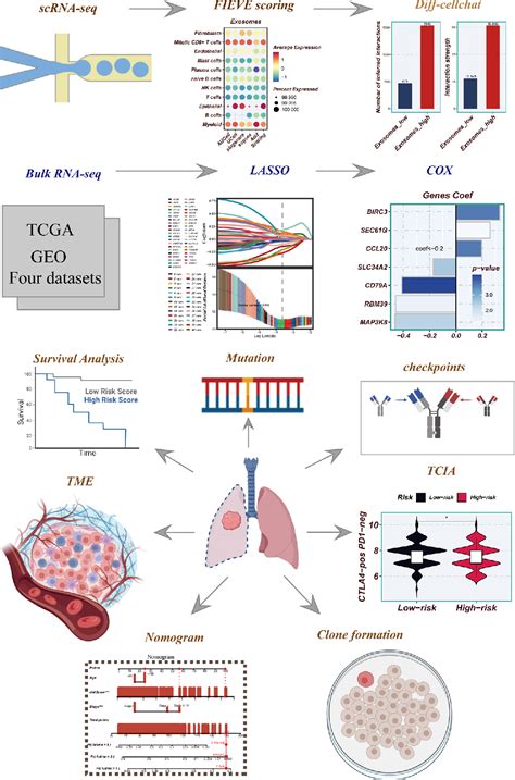 Figure 1 From Single Cell Analysis Reveals Exosome Associated