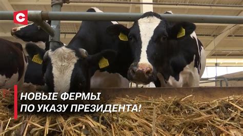 Вторая жизнь для пострадавшего региона В Брагинском районе открыли два новых МТК Youtube