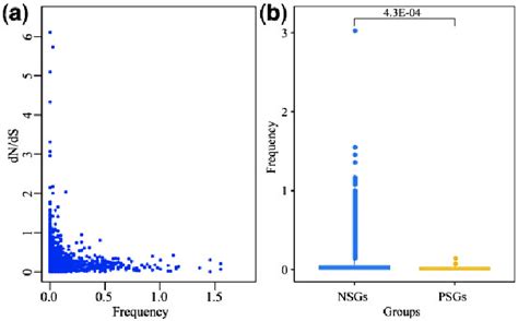 Relationship Between Recombinational Dsbs And Genetic Evolution A