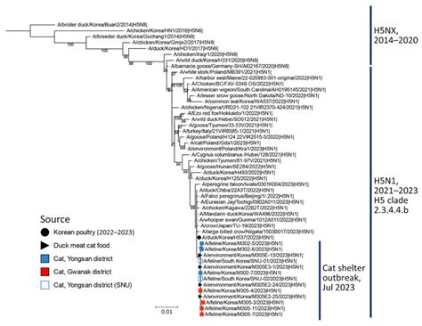 Figure 2 Highly Pathogenic Avian Influenza Ah5n1 Virus Infection In