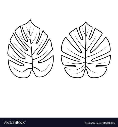 Тропический лист трафарет (Много фото) - drawpics.ru