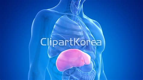 해외작가포토 클립아트코리아 통로이미지주
