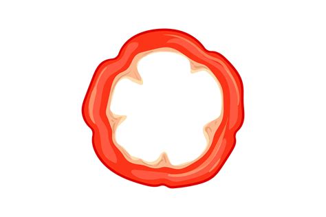 Red Pepper Slice Cartoon Vector Graphic By Pikepicture · Creative Fabrica