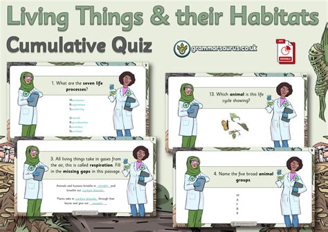 Year 6 Science Evolution Unit Overview Grammarsaurus