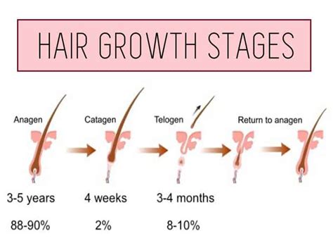 How Fast Does Human Hair Grow 3 Things You Didnt Know Layla Hair