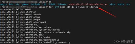 云服务器安装配置nodejs（以阿里云为例）阿里云服务器安装nodejs Csdn博客
