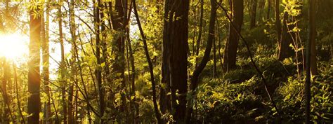 Generating Recurring Dates Array Using Rrule In Javascript