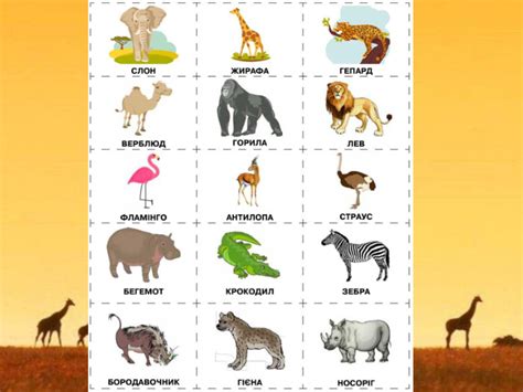 Мультимедійний супровід до уроку каліграфія за зошитом Т А Дюдюнова Українська мова зошит з