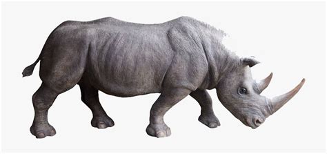 Rhino Png Photo Background Rhino Side View Transparent Png Transparent Png Image PNGitem
