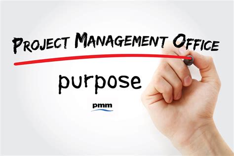 Pmo Purpose Vision And Design Principles Pm Majik