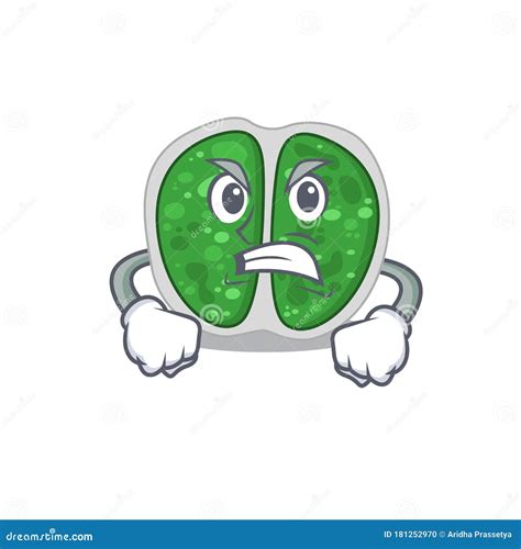 Mascot Design Concept Of Chroococcales Bacteria With Angry Face Stock