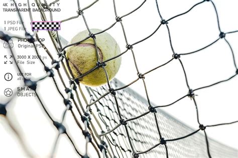 Seine Net Psd High Quality Free Psd Templates For Download Freepik