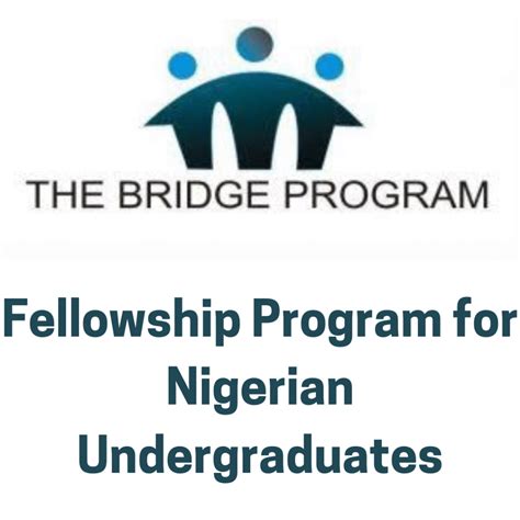 Now Open The Bridge Fellowship Program 2025 For Nigerian Undergraduates