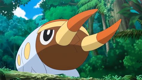 Ashs Grubbin Gobstop Pokéfanon Fandom