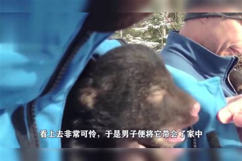 男子捡回一只小黑狗，狗狗将其带大，却发现这哪里是狗啊！