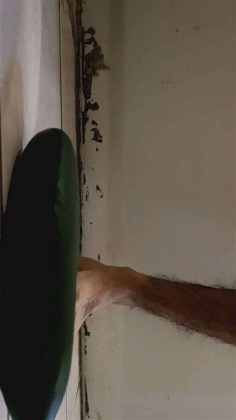 Str8 19 Latino Crush Cucumber