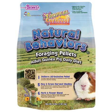 Brown S Pet Food NEW Tropical Carnival Natural Behaviors Foraging