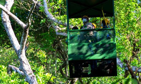 Stri Visit Smithsonian Tropical Research Institute