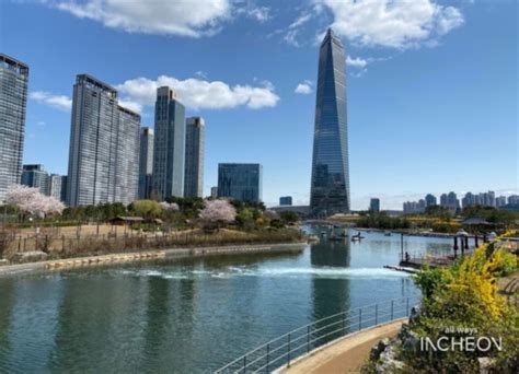 2022년 인천 벚꽃명소 송도센트럴파크 벚꽃 인천대공원 벚꽃 인천벚꽃개화시기 서울근교벚꽃명소 네이버 블로그