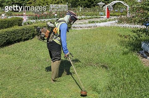 제초작업제초기호수공원호수연못물공원풍경전경실외나무숲일산고양시경기도국내여행한국 이미지