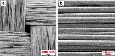 Sem Microstructures Of Zno Cc At Different Magnification Reproduced Download Scientific