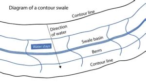 Swales Land For Wildlife