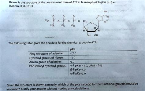Below Is The Structure Of The Predominant Form Of Atp At Human Physiological Ph 74 Moran Et Al