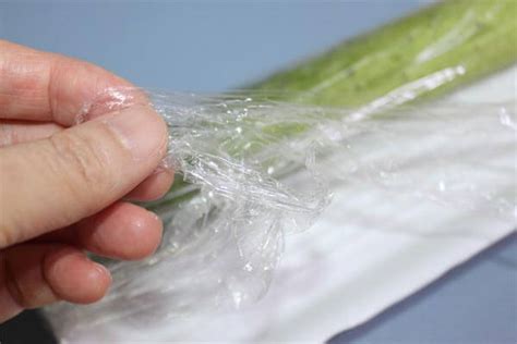 이거 넣고 버렸다가 과태료 폭탄 맞았어요 종량제 봉투에 절대 넣어서는 안되는 쓰레기 1가지 모르면 손해 핵꿀팁